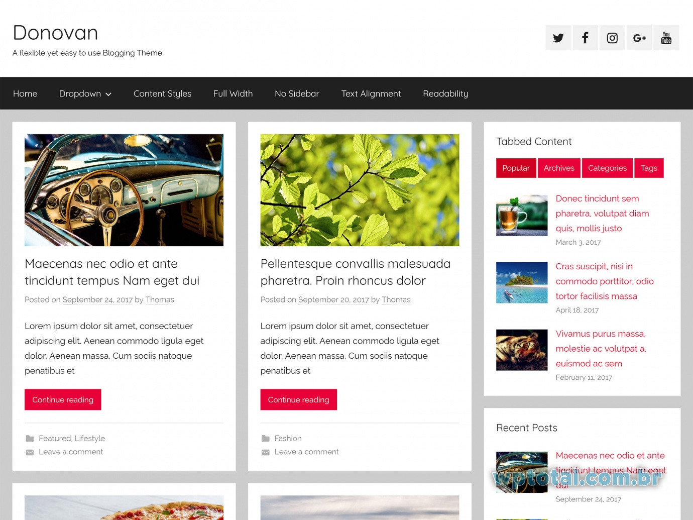 [TOP 55] Melhores Temas WordPress Gratuitos para 2021 - WP Total