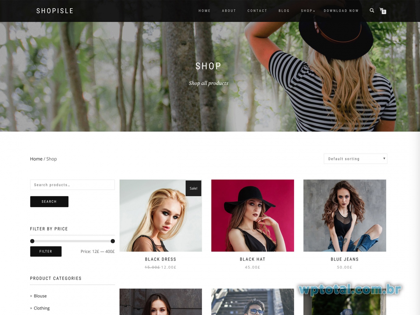 [TOP 55] Melhores Temas WordPress Gratuitos para 2021 - WP Total
